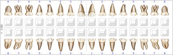 Dental Software - V6 Manual - Systems for Dentists Limited